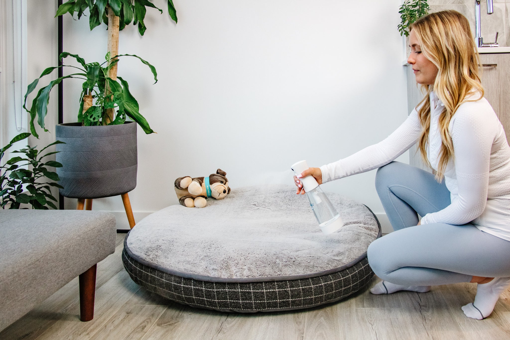 Deodorizing pet areas with Nellie's Ninety-Nine!