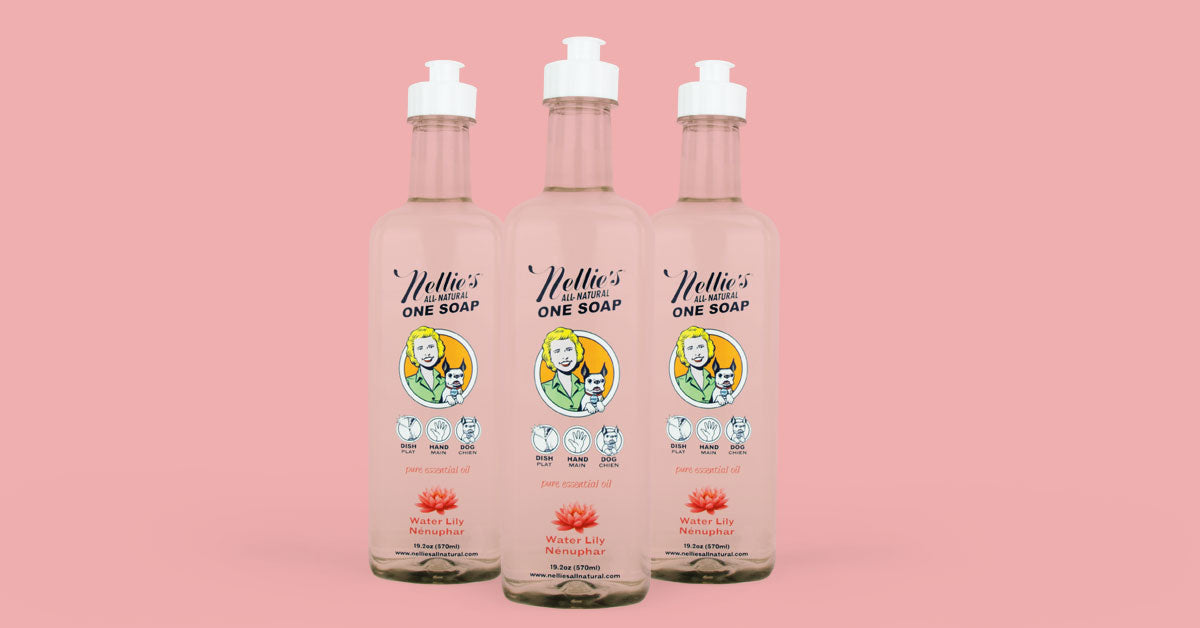 Suds Up! 4 Uses for Your One Soap | Nellie's